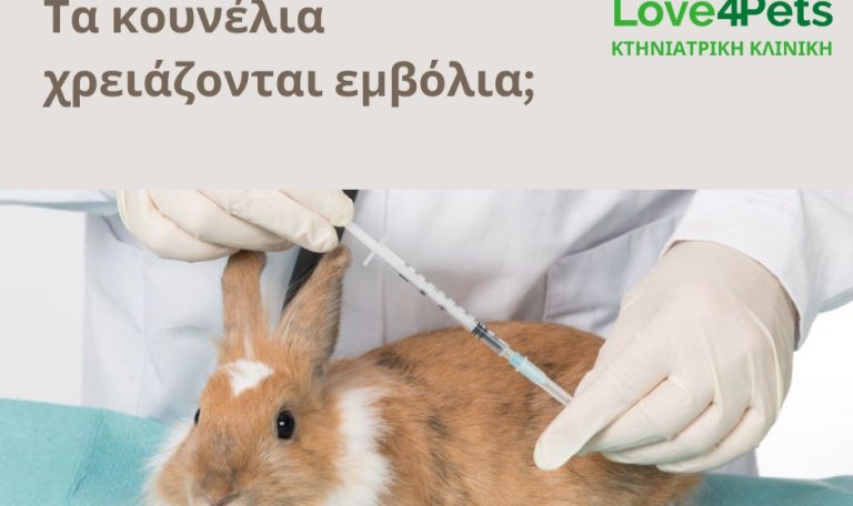 ΕΜΒΟΛΙΑΣΜΟΣ ΚΟΥΝΕΛΙΟΥ - Love4pets