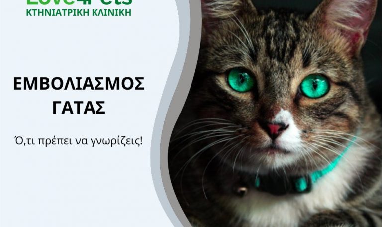 ΕΜΒΟΛΙΑΣΜΟΣ ΓΑΤΑ - Love4pets